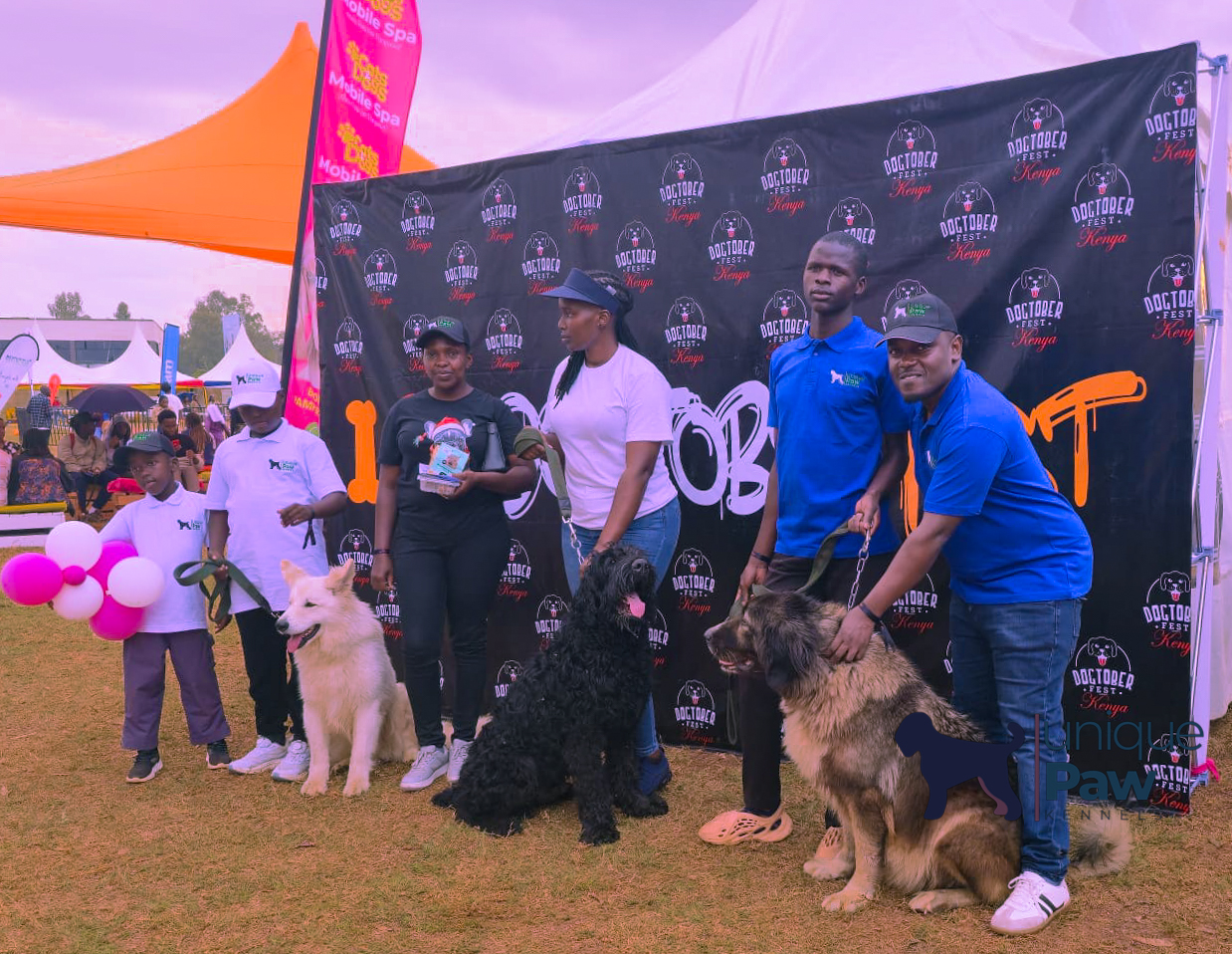 Unique Paw Kennels - Premium Dog Breeding in Kenya | Caucasian ...
