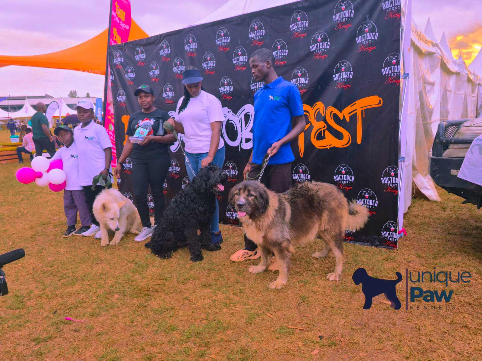Unique Paw Kennels - Premium Dog Breeding in Kenya | Caucasian ...